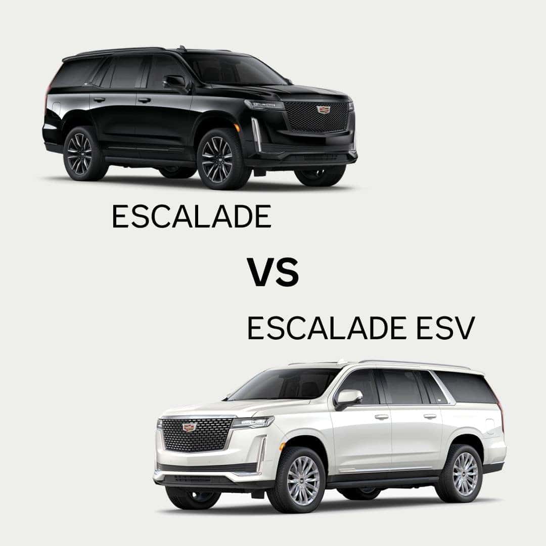 Escalade vs Escalade ESV | Cavender Cadillac