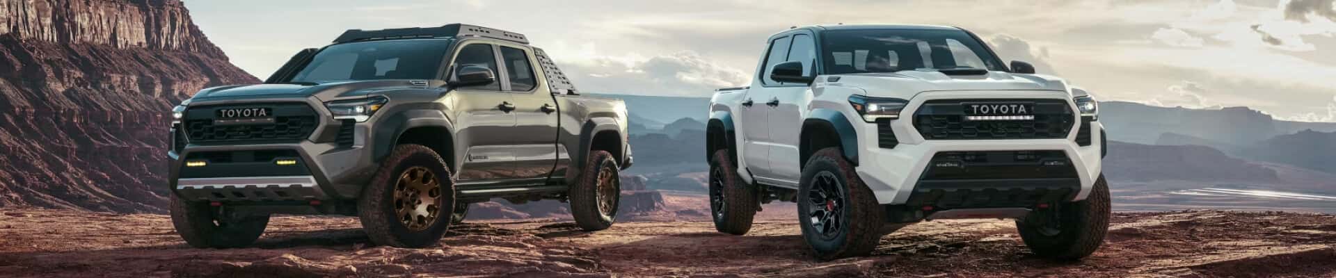2025 Toyota Tacoma Colors By Trim & Year