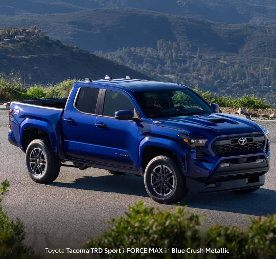 2025 Toyota Tacoma Colors By Trim & Year