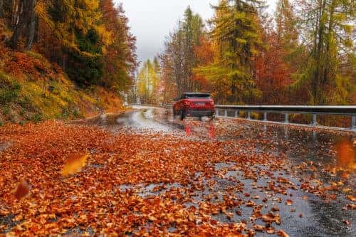 Fall Driving Hazards and How to Avoid Them | Holman