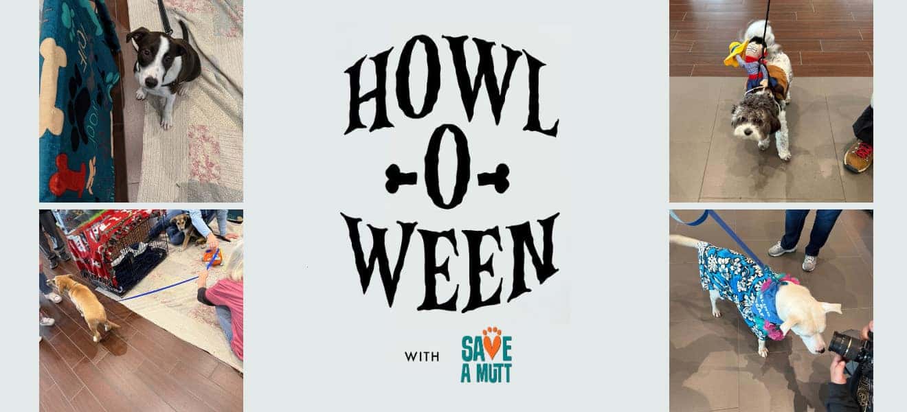 Happy Howl-O-Ween! A Fun Day With Save-A-Mutt Filled With Tricks and ...