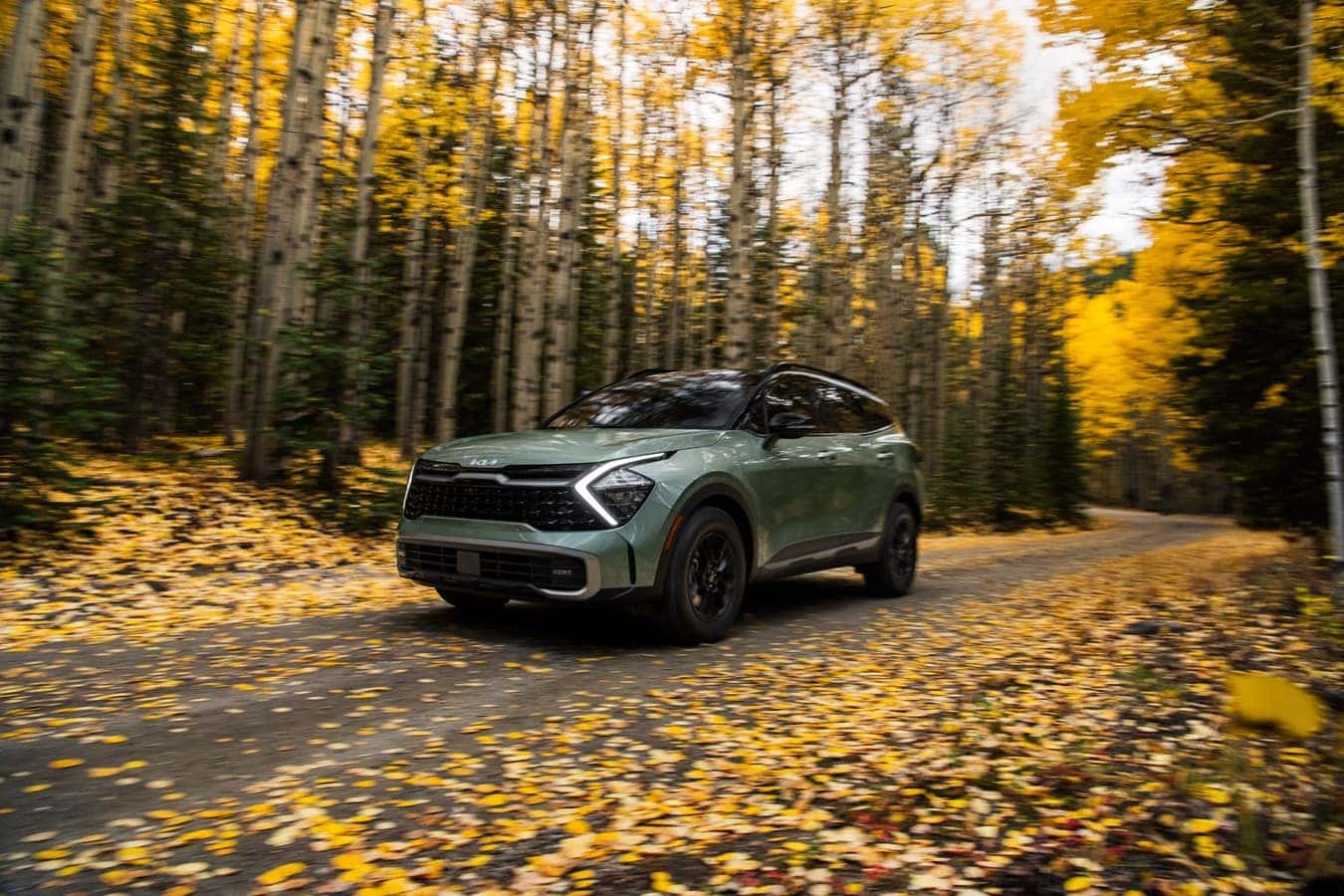 Which Kia SUV is Right for Me? | Landers Kia