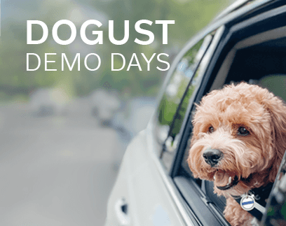 Volvo Genuine Windshields | Volvo Cars Royal Oak